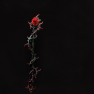 Buy The Blood Thorn Wrapped Quarte in PATH OF EXILE 2 Items - Offer ...